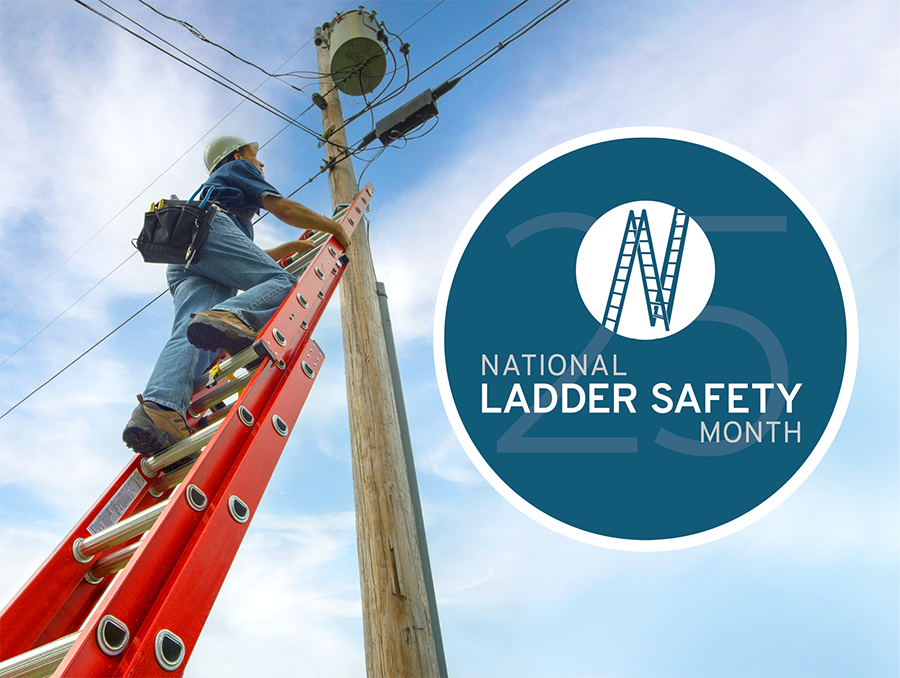 Get Involved in National Ladder Safety Month with Free Online Training ...